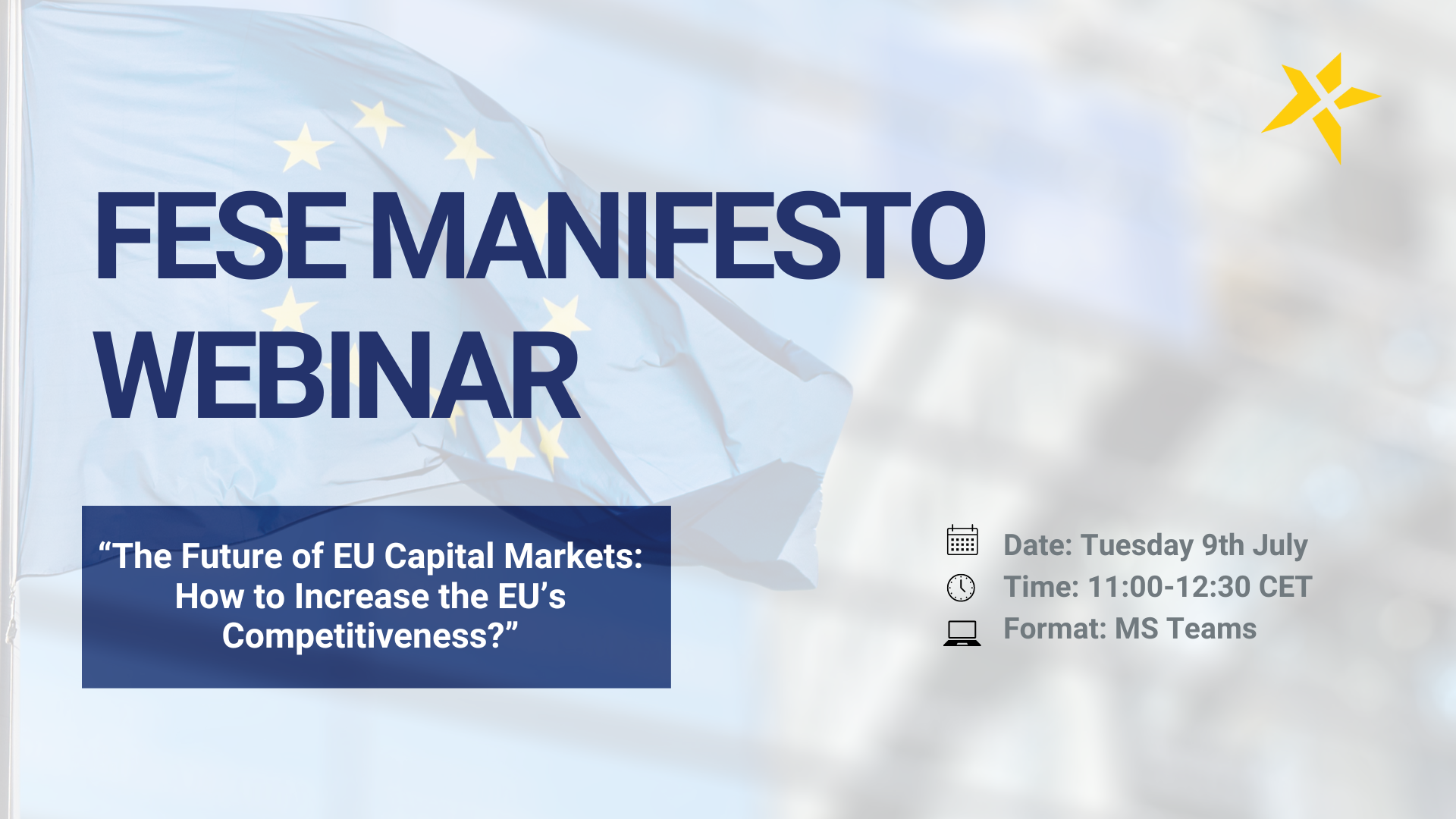 FESE Manifesto Webinar - Fese